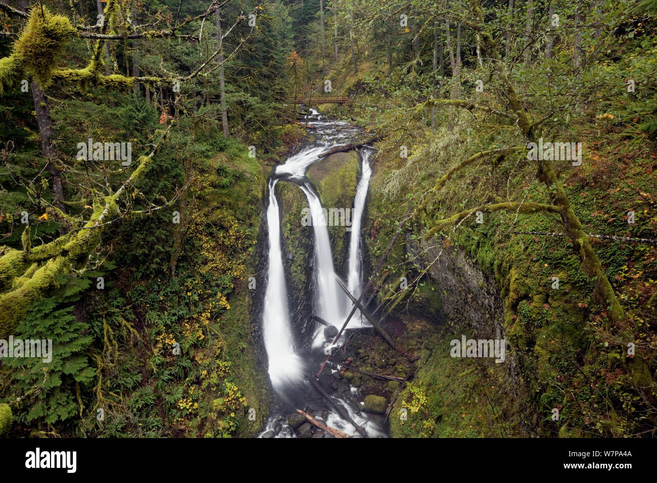 Triple Falls, Columbia River George National Scenic Area, Oregon, USA ...