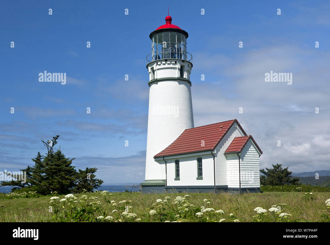 Cape Blanco Light on a bluff above the Pacific Ocean in Cape Blanco ...