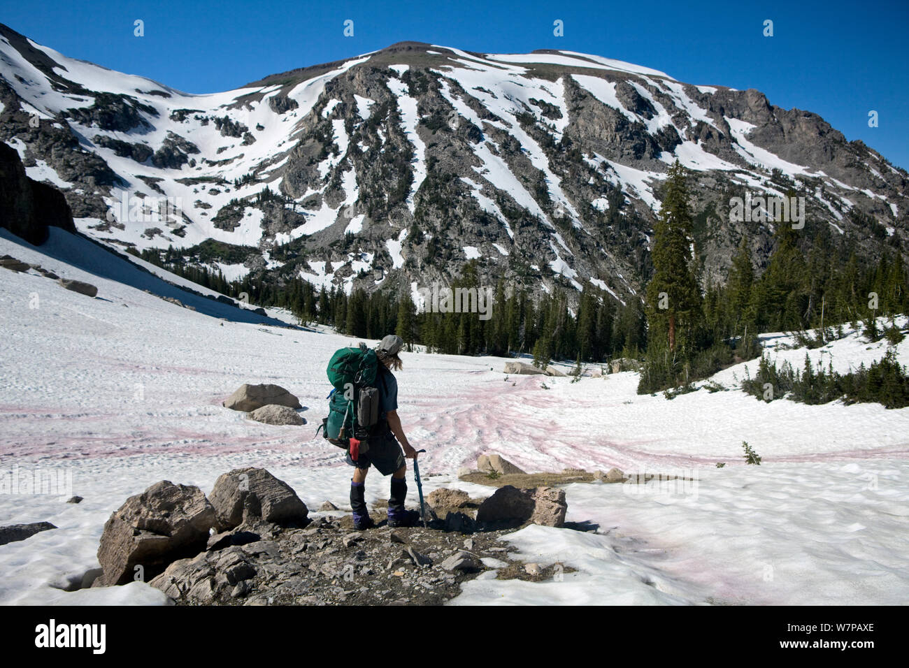 Hiker below the Mount Hunt Divide, Open Canyon, Grand Teton National ...