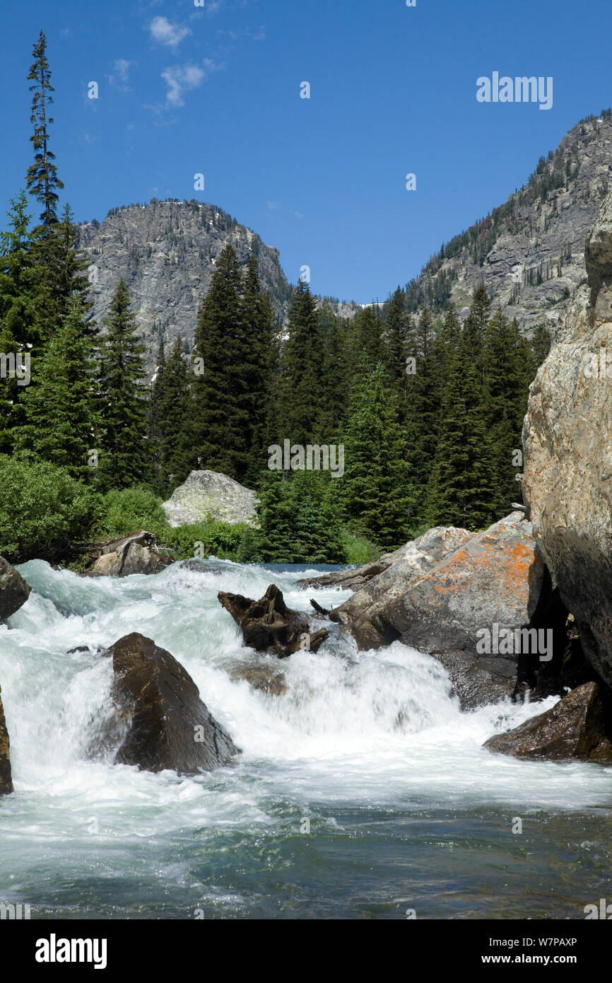 Death Canyon Creek, Death Canyon, Grand Teton National Park. Wyoming ...