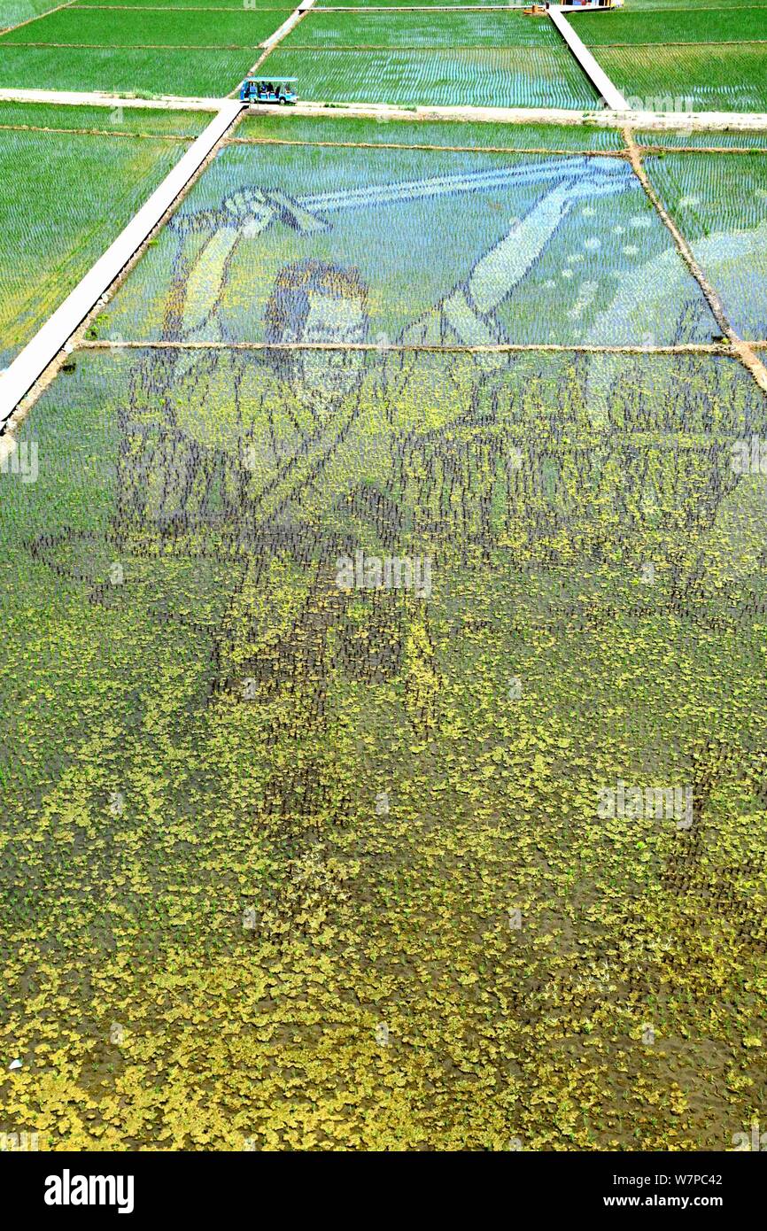 Padd hi-res stock photography and images - Alamy