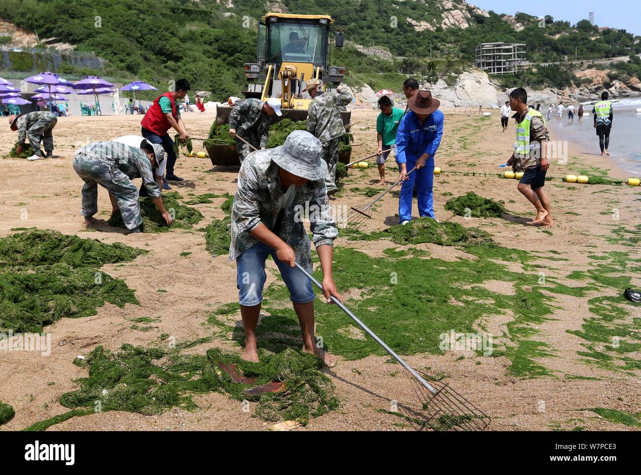 Algae clean up china hi-res stock photography and images - Alamy