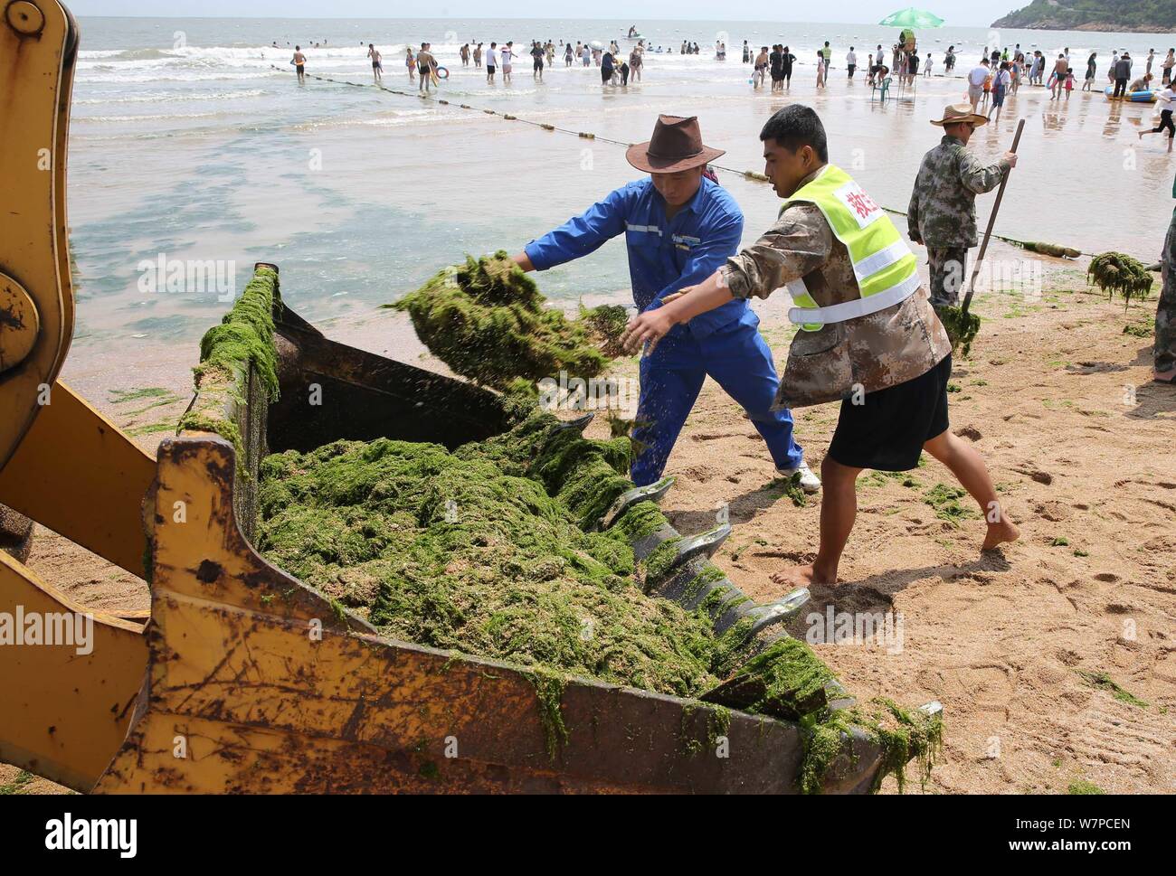 Algae clean up china hi-res stock photography and images - Alamy