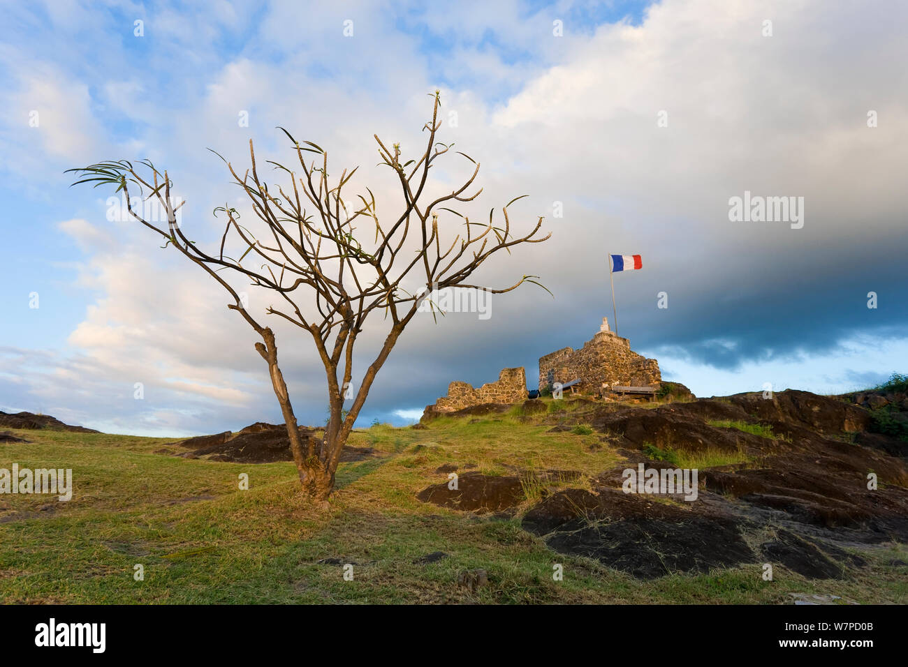 Caribbean flags hi-res stock photography and images - Alamy