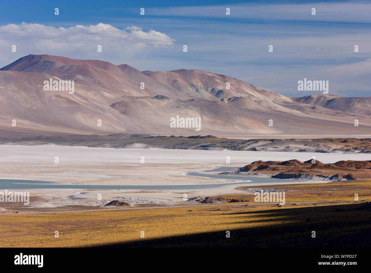 Los Flamencos National Reserve, the altiplano at an altitude of over ...