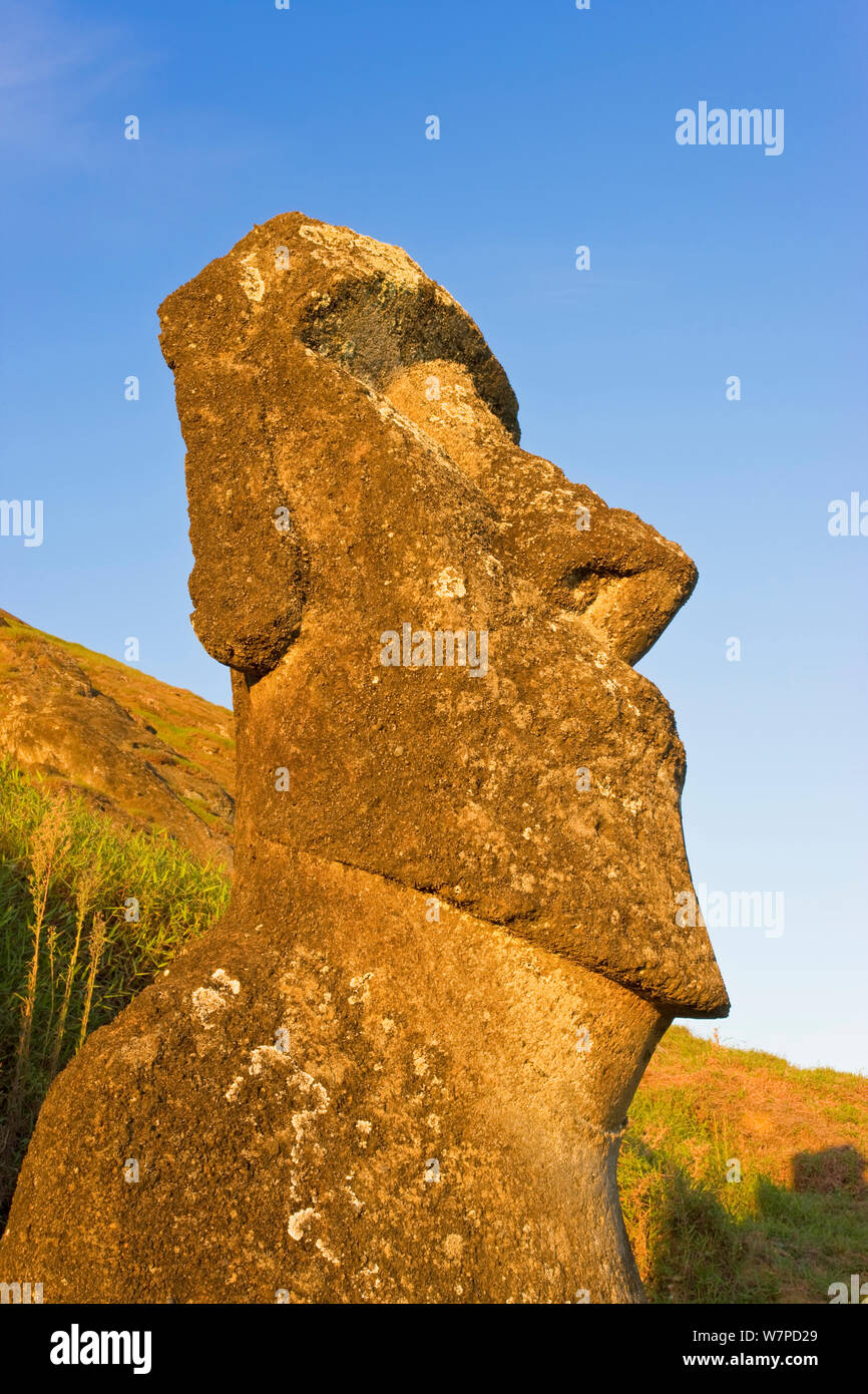Stone maoi statue hi-res stock photography and images - Alamy