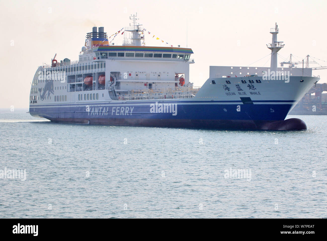 Ocean Blue Whale, China's domestically designed large passenger ...