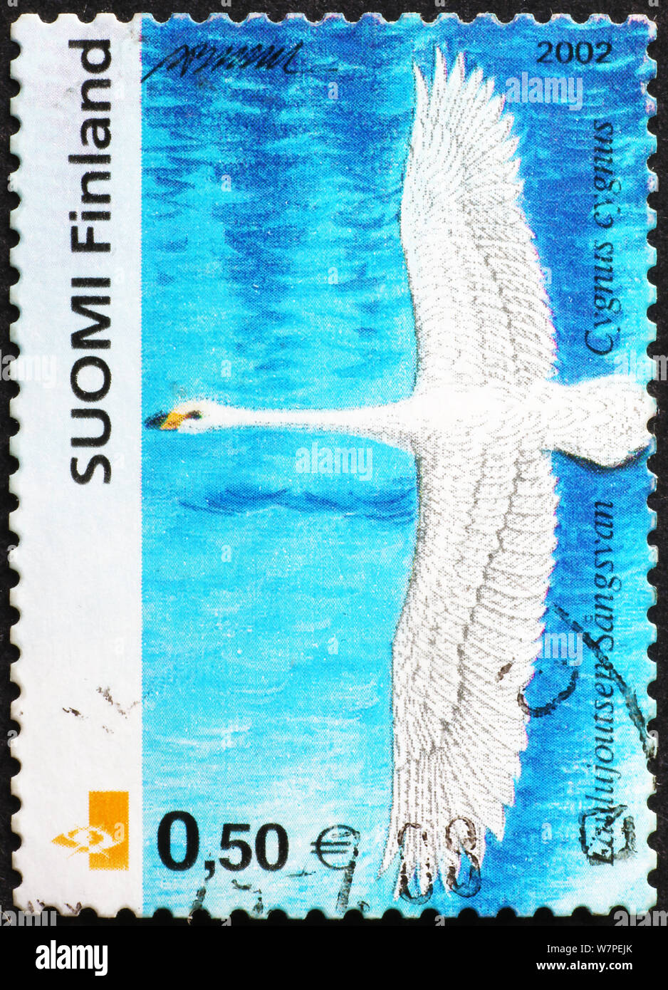 Swan flying over water on finnish postage stamp Stock Photo - Alamy