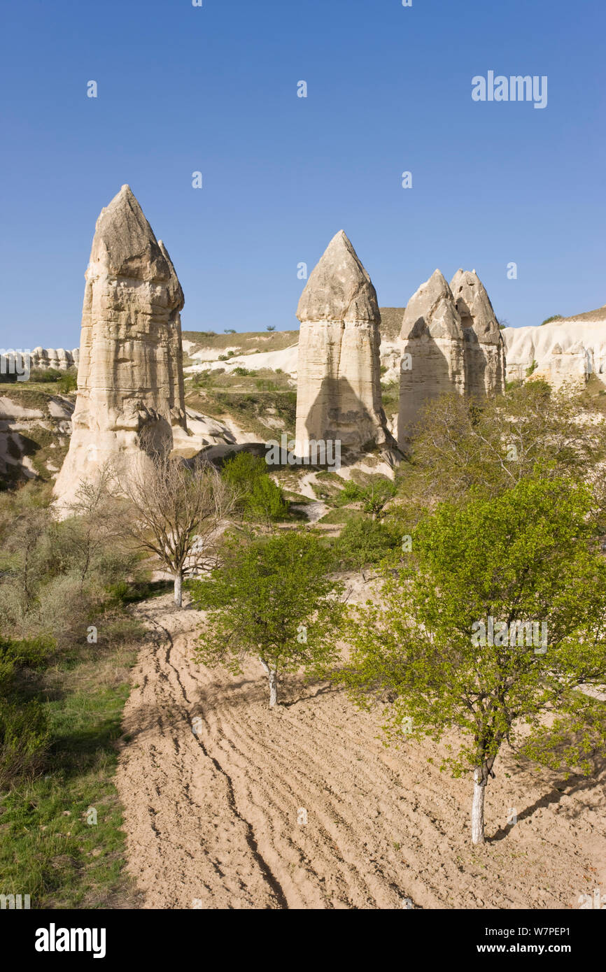 Phallic pillars known as Fairy Chimneys in the valley known as Love ...