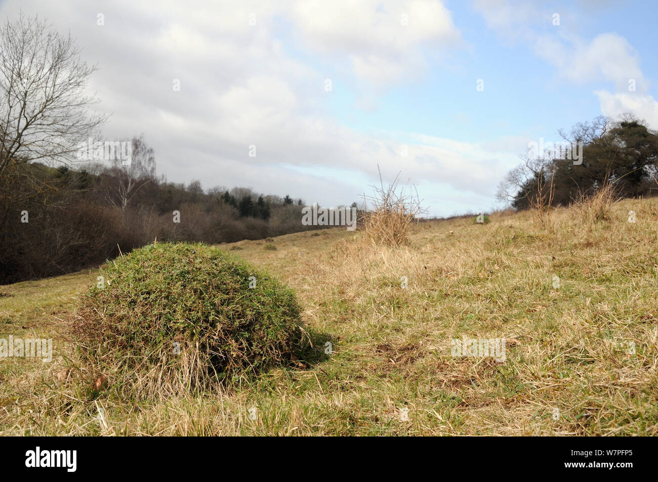Mound slope hi-res stock photography and images - Alamy