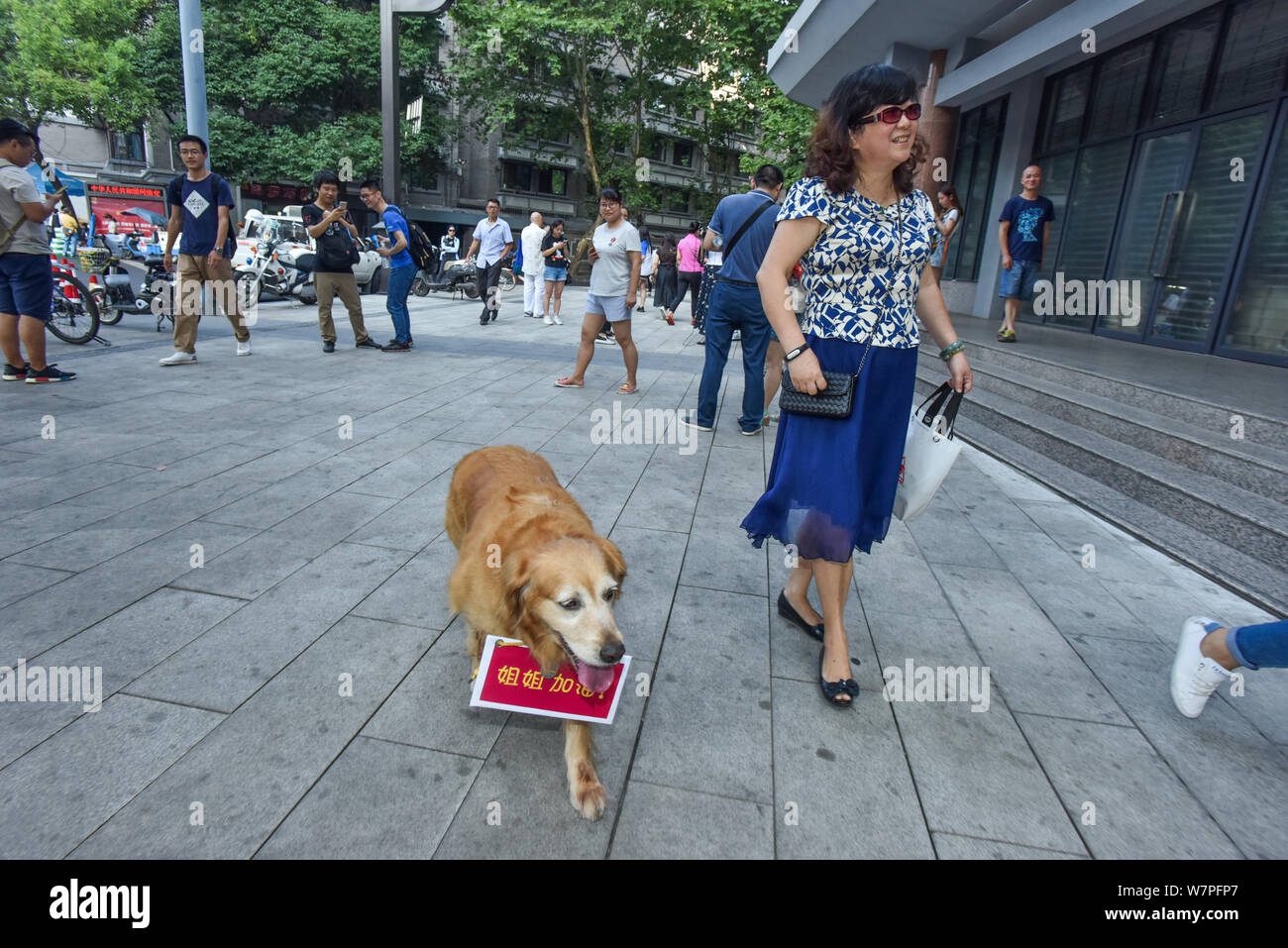 Chinese parent Cai, right, and her eight-year-old golden retriever ...