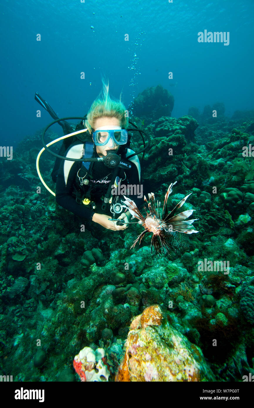 Invasive marine pests hi-res stock photography and images - Alamy