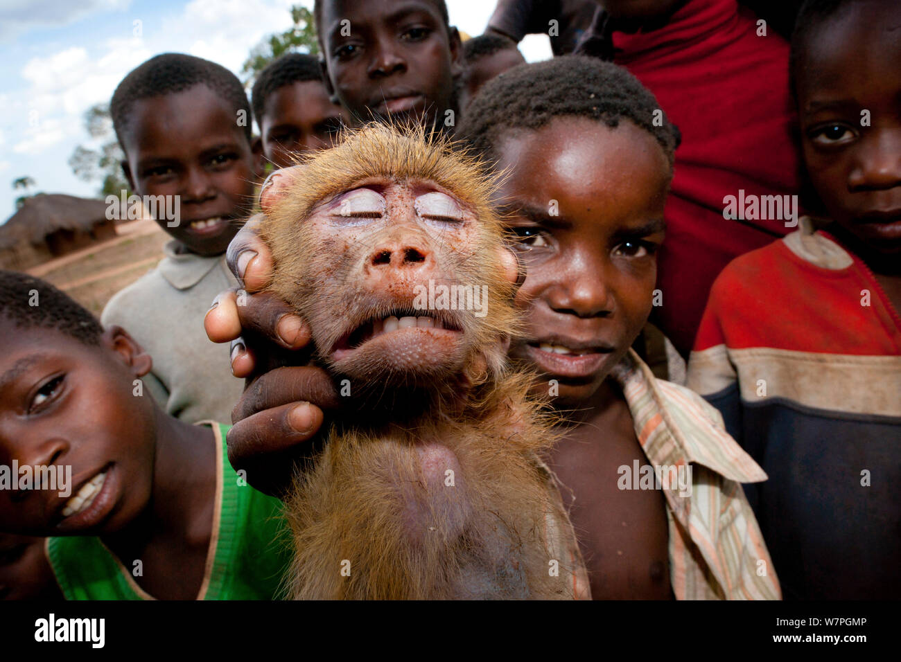Captive captivity hi-res stock photography and images - Alamy
