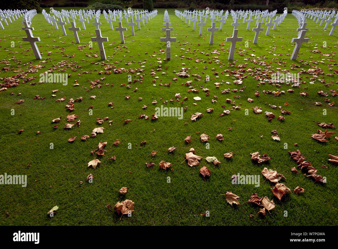 World war 1 graves hi-res stock photography and images - Alamy