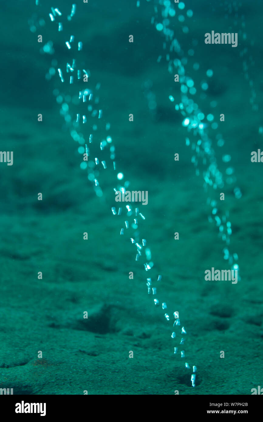Volcanic bubbles escaping from the sea bed, Sangeang Island, Indonesia ...
