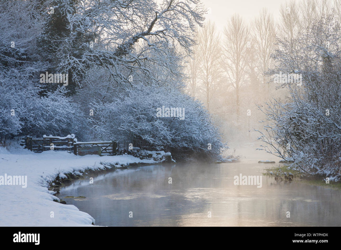 River Lathkill flowing through Lathkill Dale SSSI National Nature ...