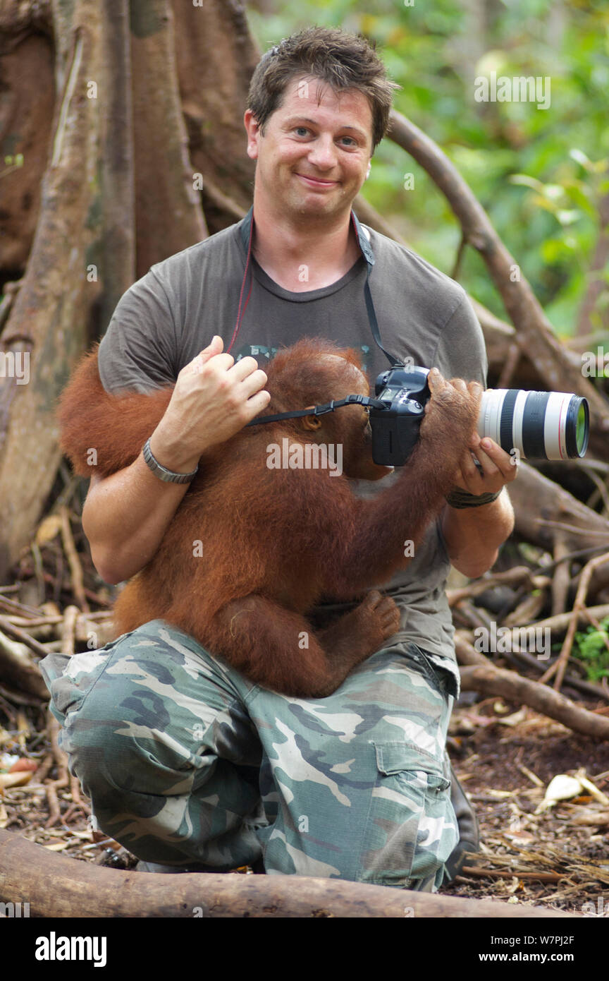 Mark MacEwan, photographer, holding young orangutan (Pongo pygmaeus ...
