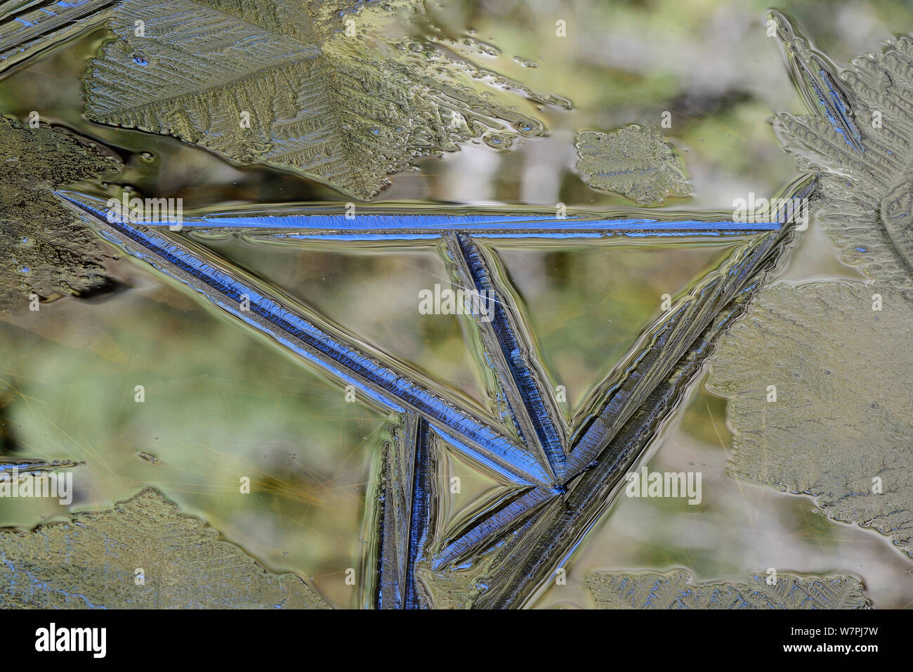 Baxter state park hi-res stock photography and images - Alamy