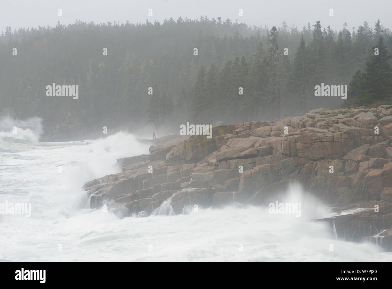 Photos Hurricane Sandy Beach Spray