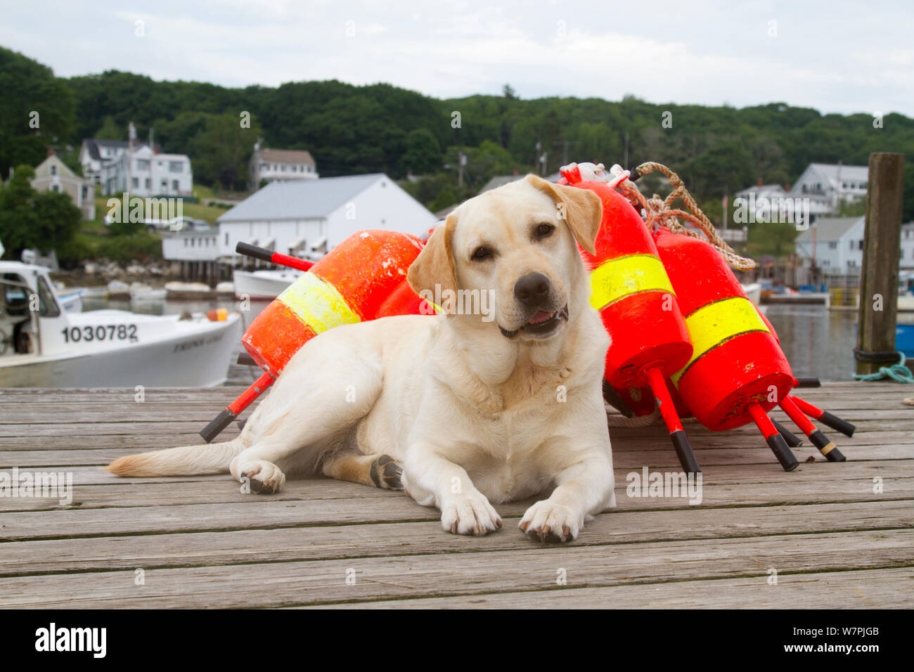 Trap buoys hi-res stock photography and images - Alamy