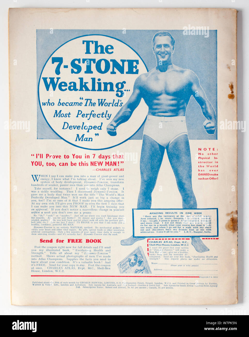 Muscle builder hi-res stock photography and images - Alamy