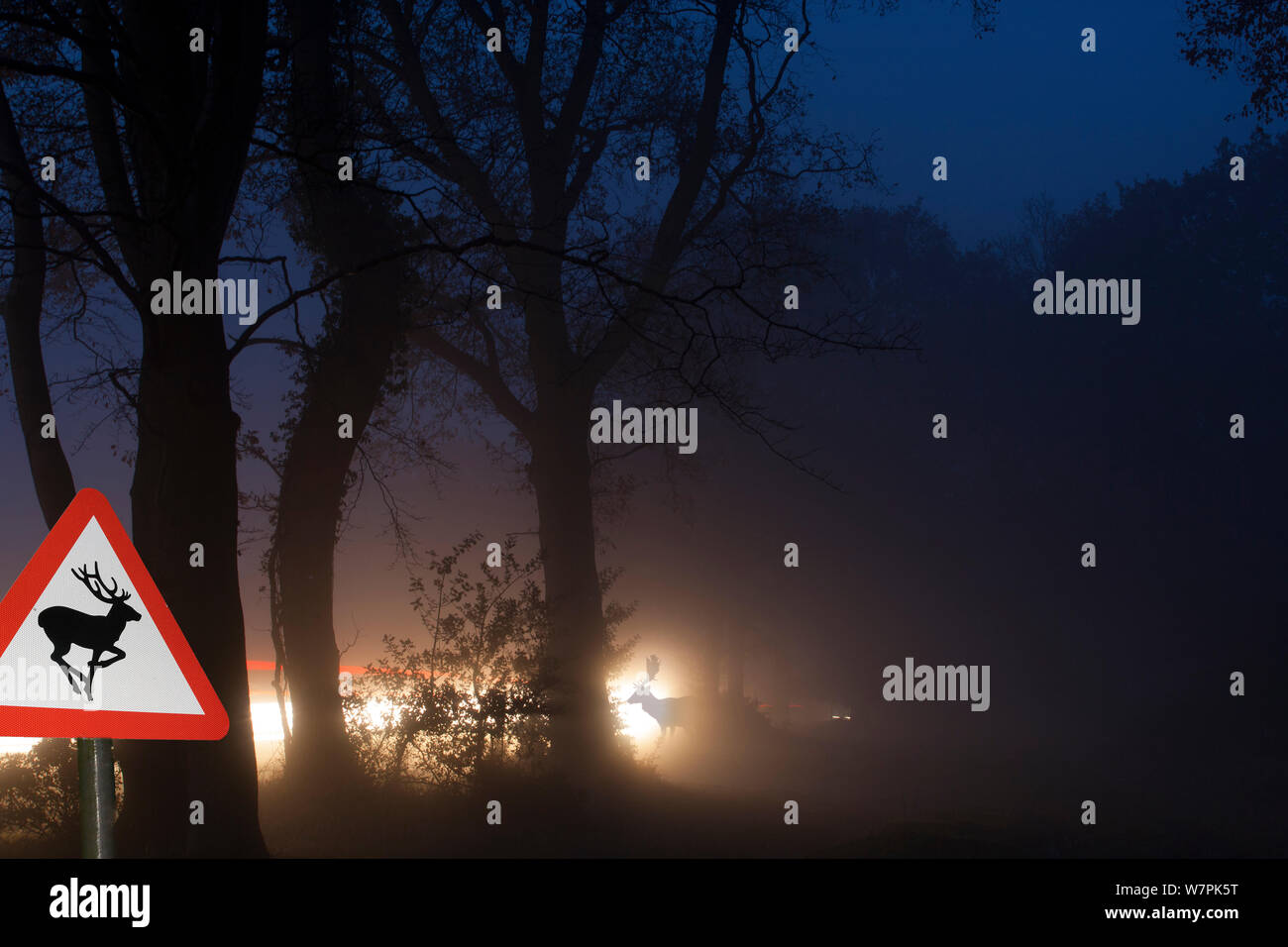 Deer crossing signs hi-res stock photography and images - Alamy