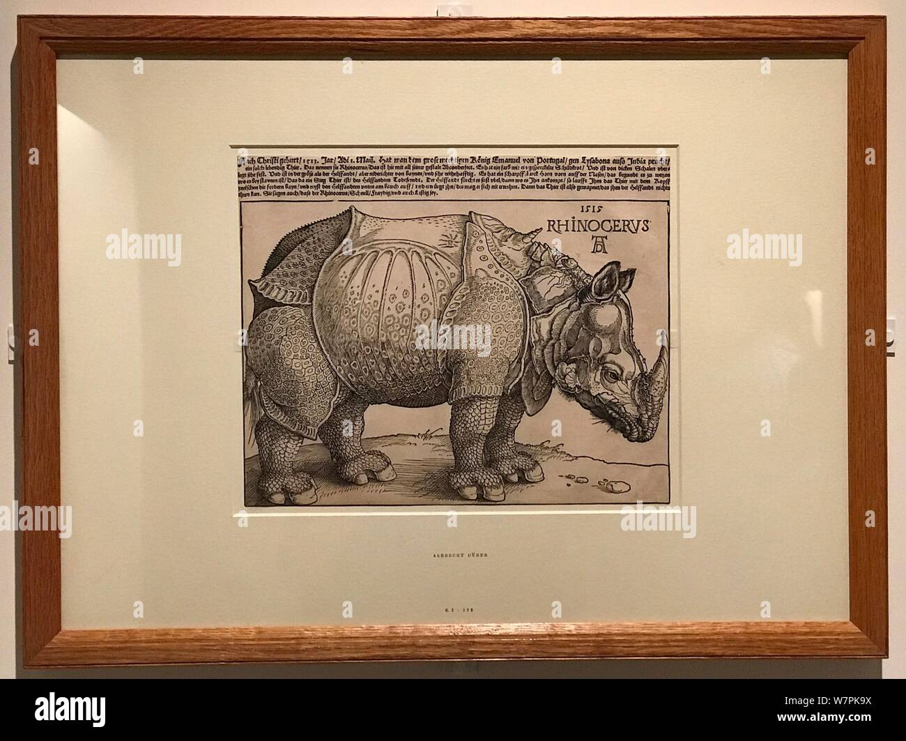 Durer's rhinoceros hi-res stock photography and images - Alamy