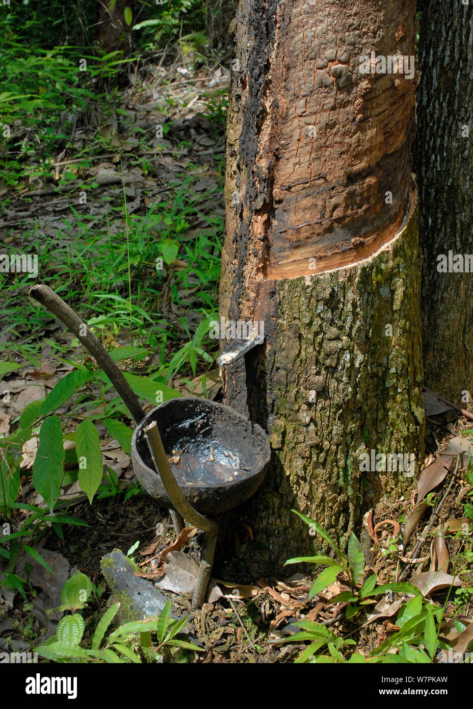 Harvesting july hi-res stock photography and images - Alamy