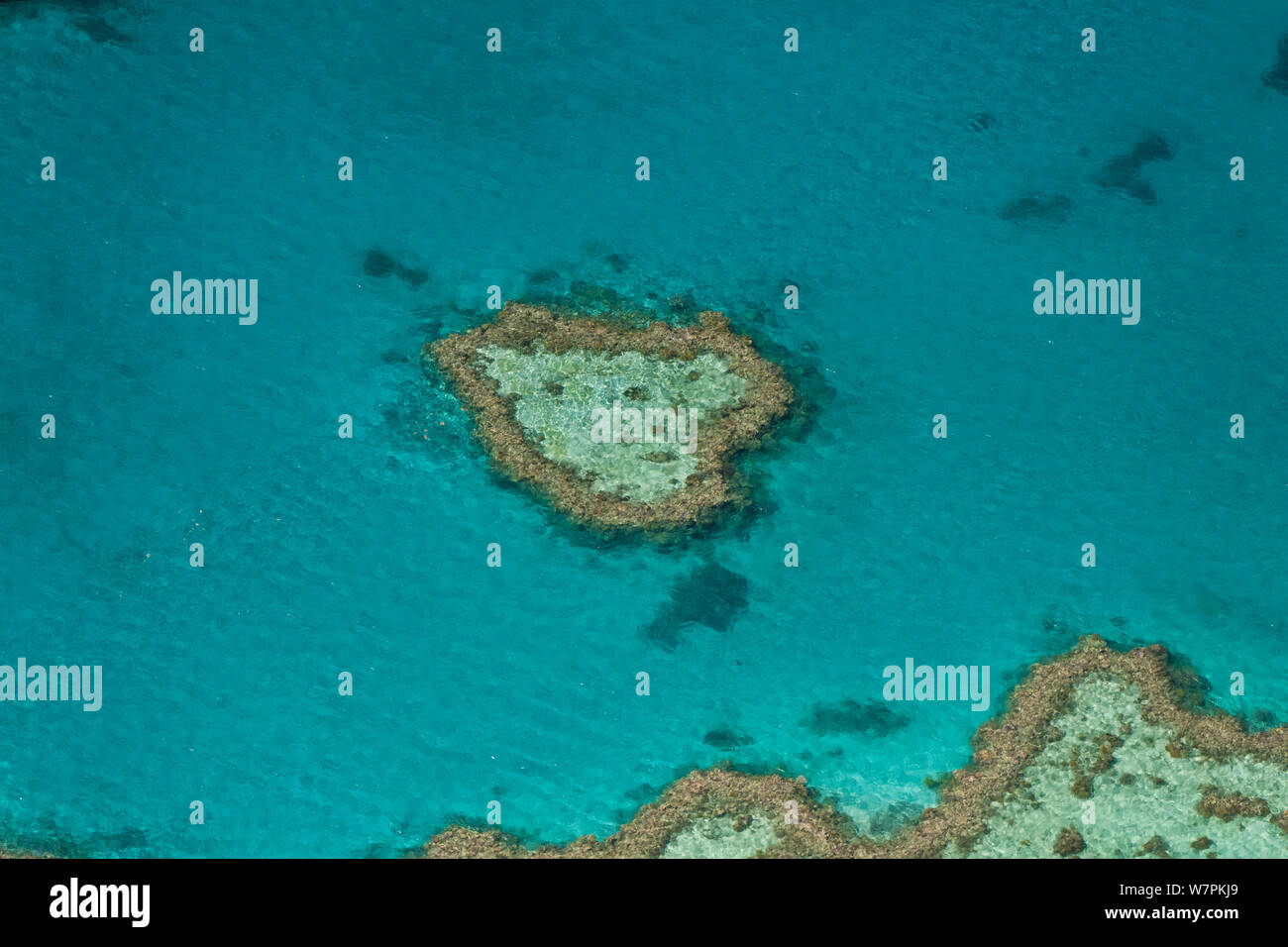 Aerial view of Hardy Reef, Great Barrier Reef, August 2011 Stock Photo ...