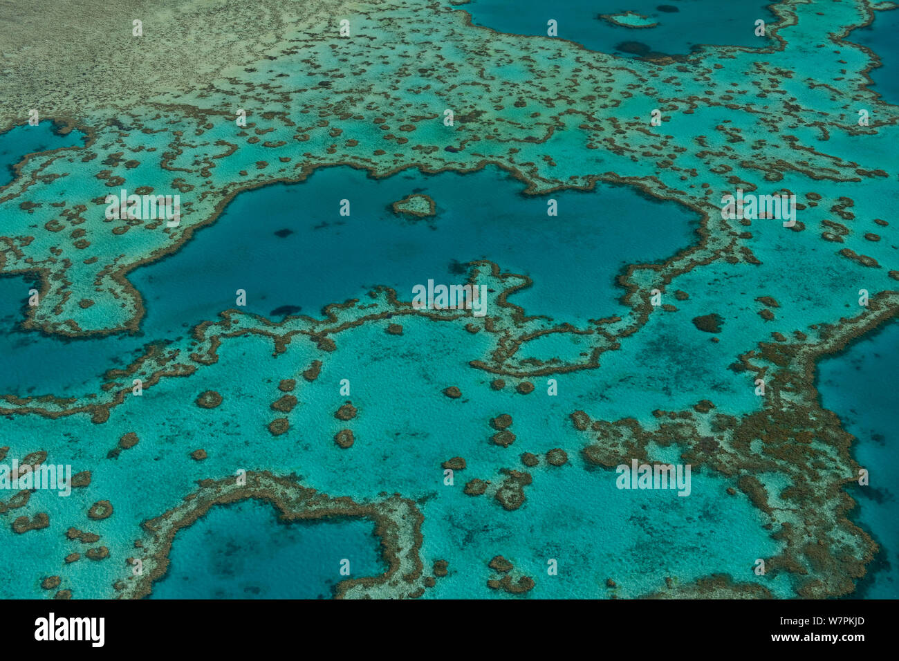Aerial view of Hardy Reef, Great Barrier Reef, August 2011 Stock Photo ...