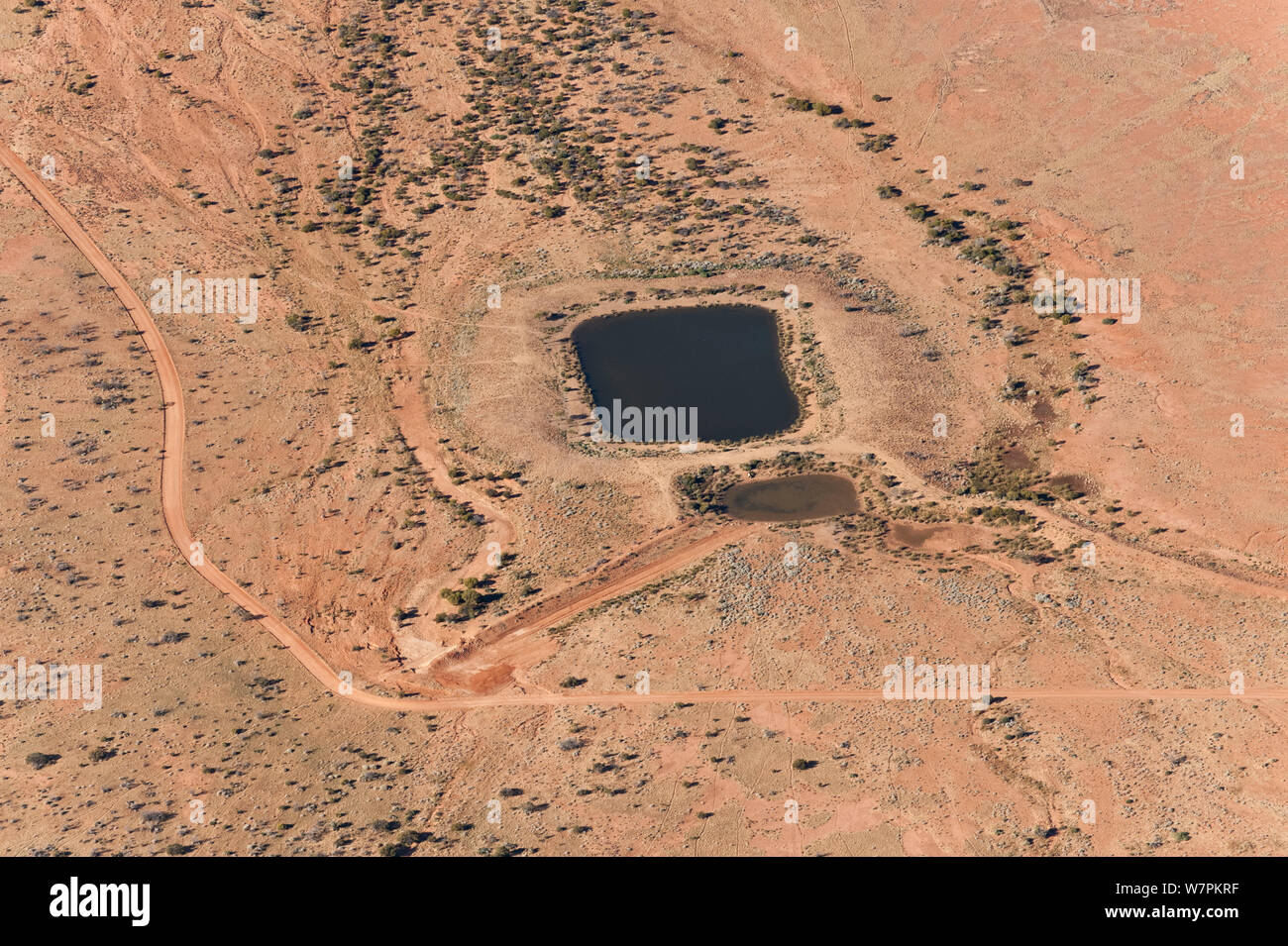 Australia outback cattle hi-res stock photography and images - Alamy