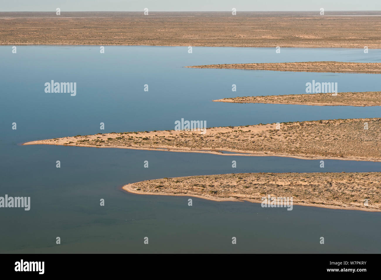Aerial of lakes in Simpson Desert Regional Reserve Normally dry, the ...