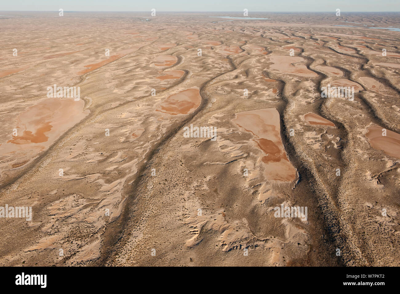 Aerial of sand dunes, Simpson Desert Regional Reserve. South Australia ...