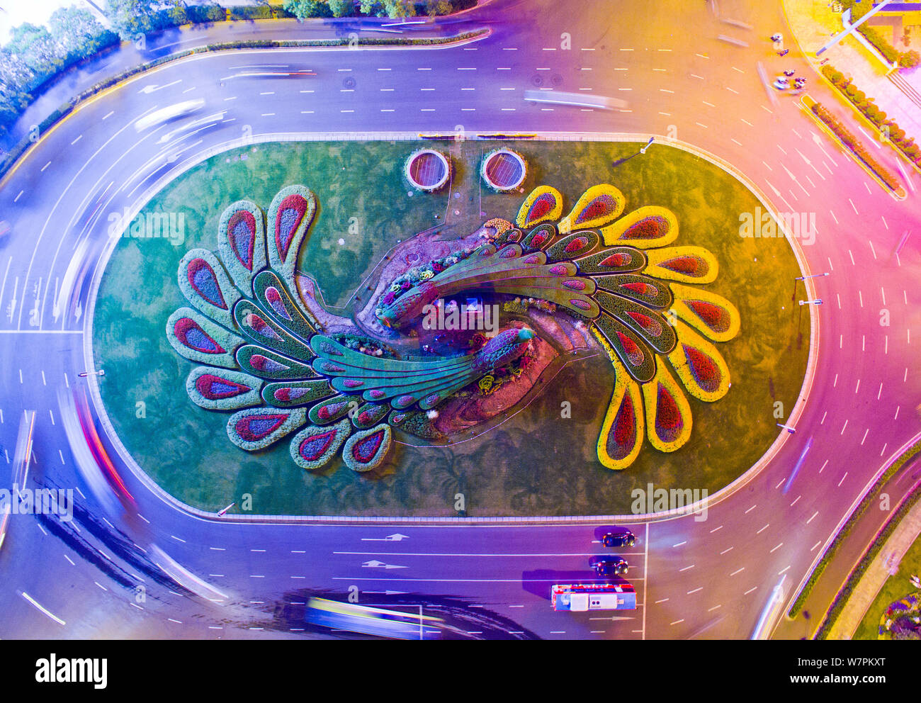 Aerial view of the peacock-themed flower bed on Gulou Square at night ...