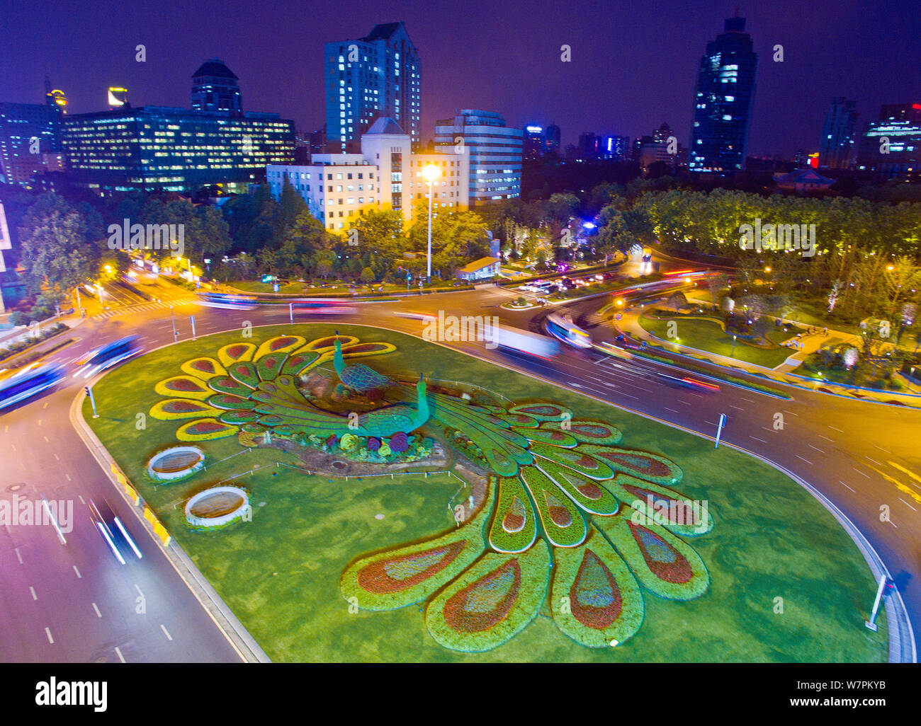 Aerial view of the peacock-themed flower bed on Gulou Square at night ...