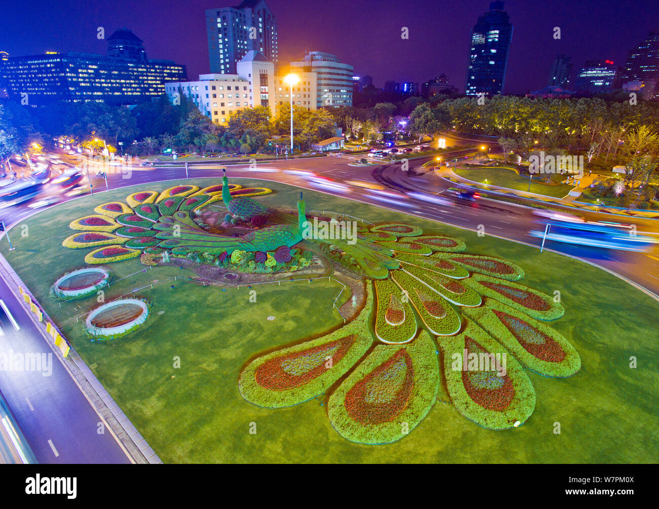 Aerial view of the peacock-themed flower bed on Gulou Square at night ...