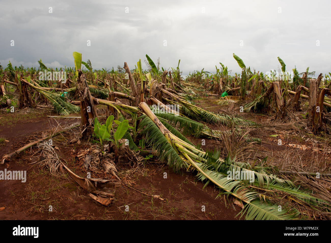 Innisfail High Resolution Stock Photography and Images - Alamy