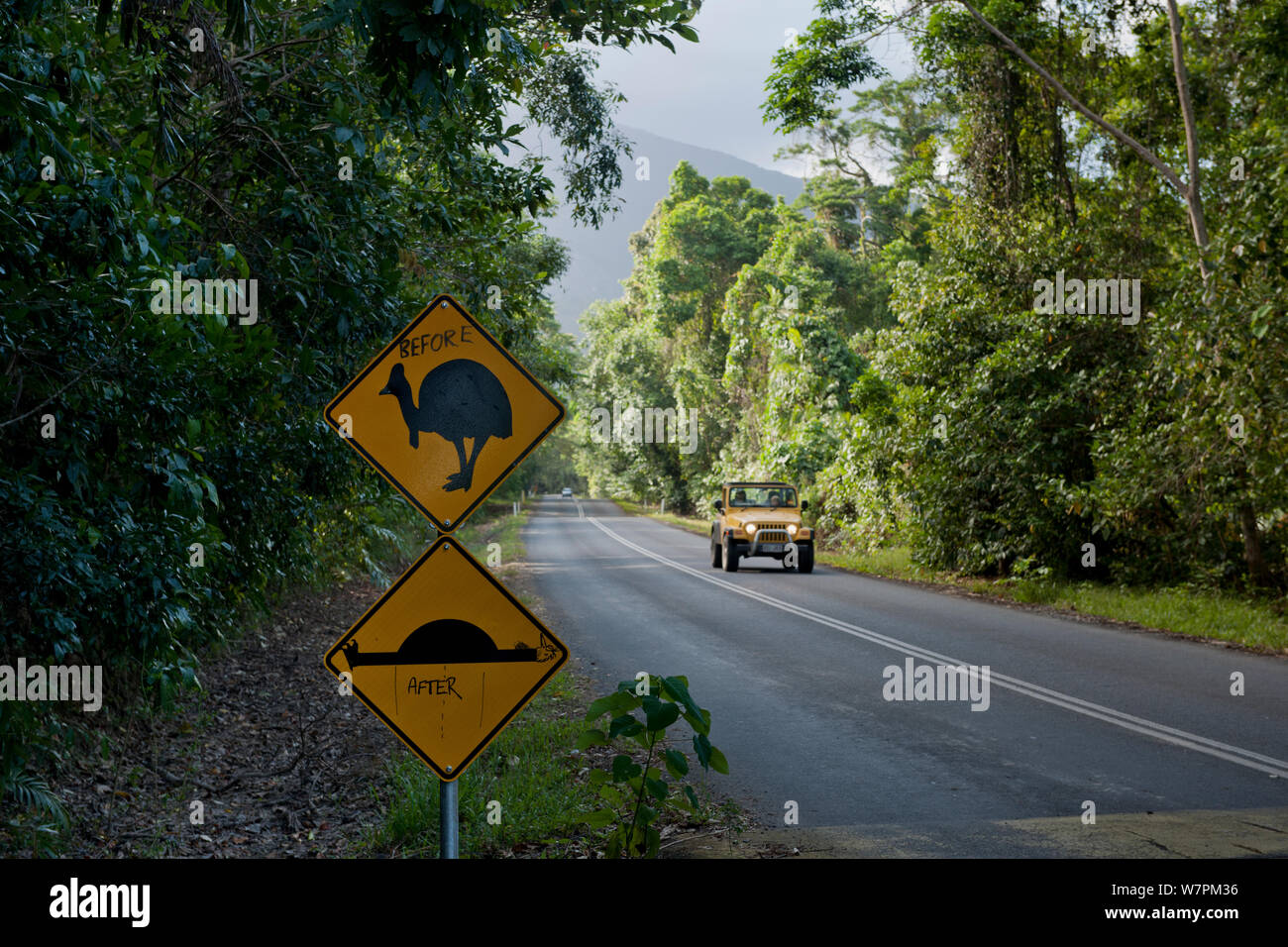 Cape Tribulation cassowary sign and speed bump sign, vandalised to a ...