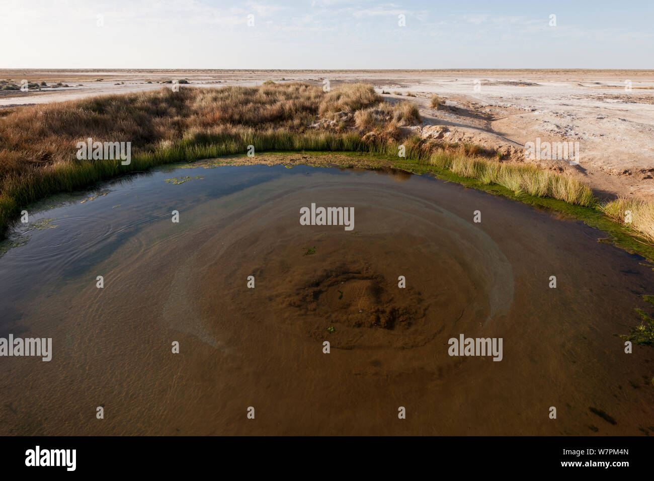 The bubbler mound spring hi-res stock photography and images - Alamy