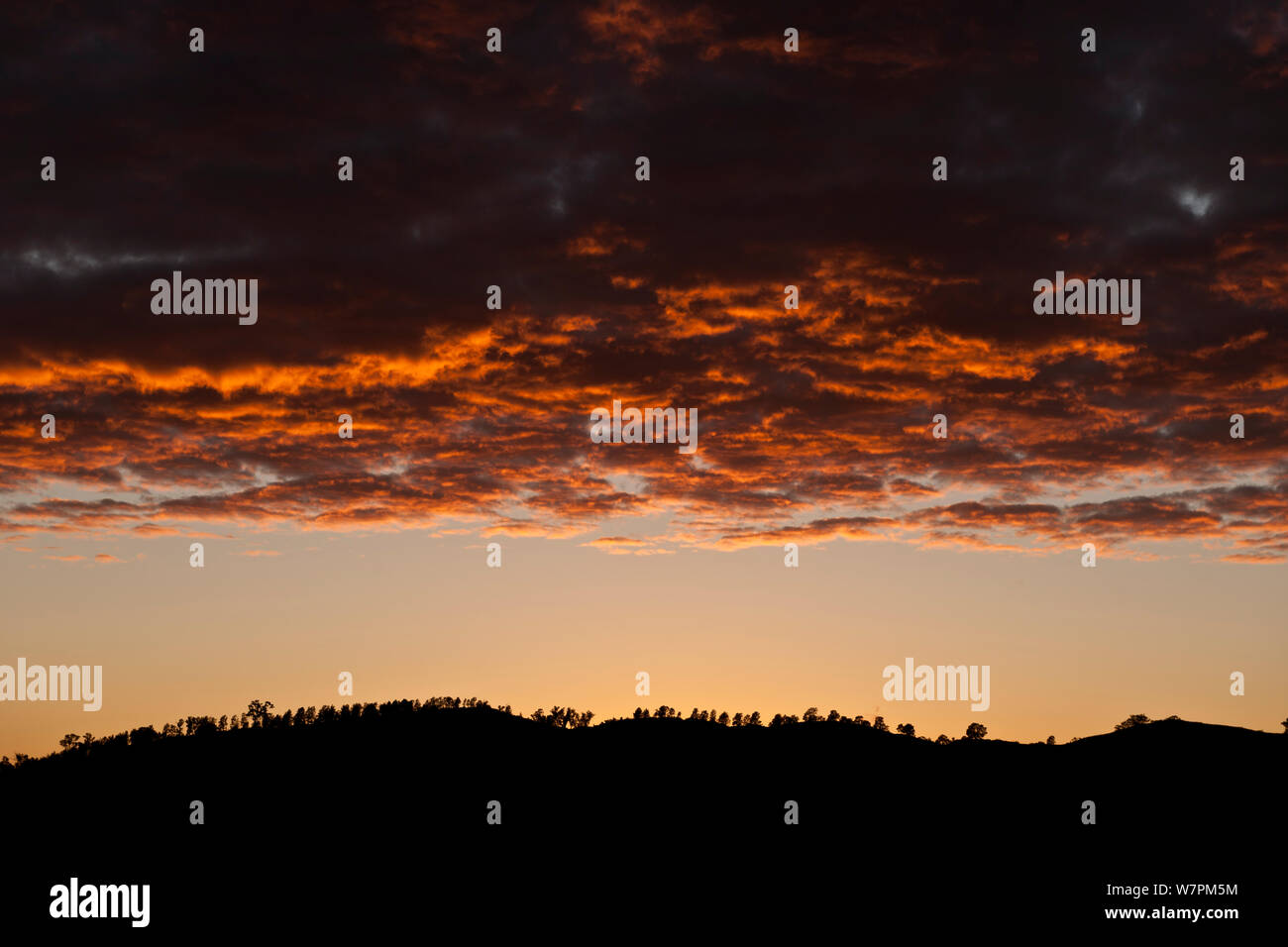 Flinders ranges national park hi-res stock photography and images - Alamy