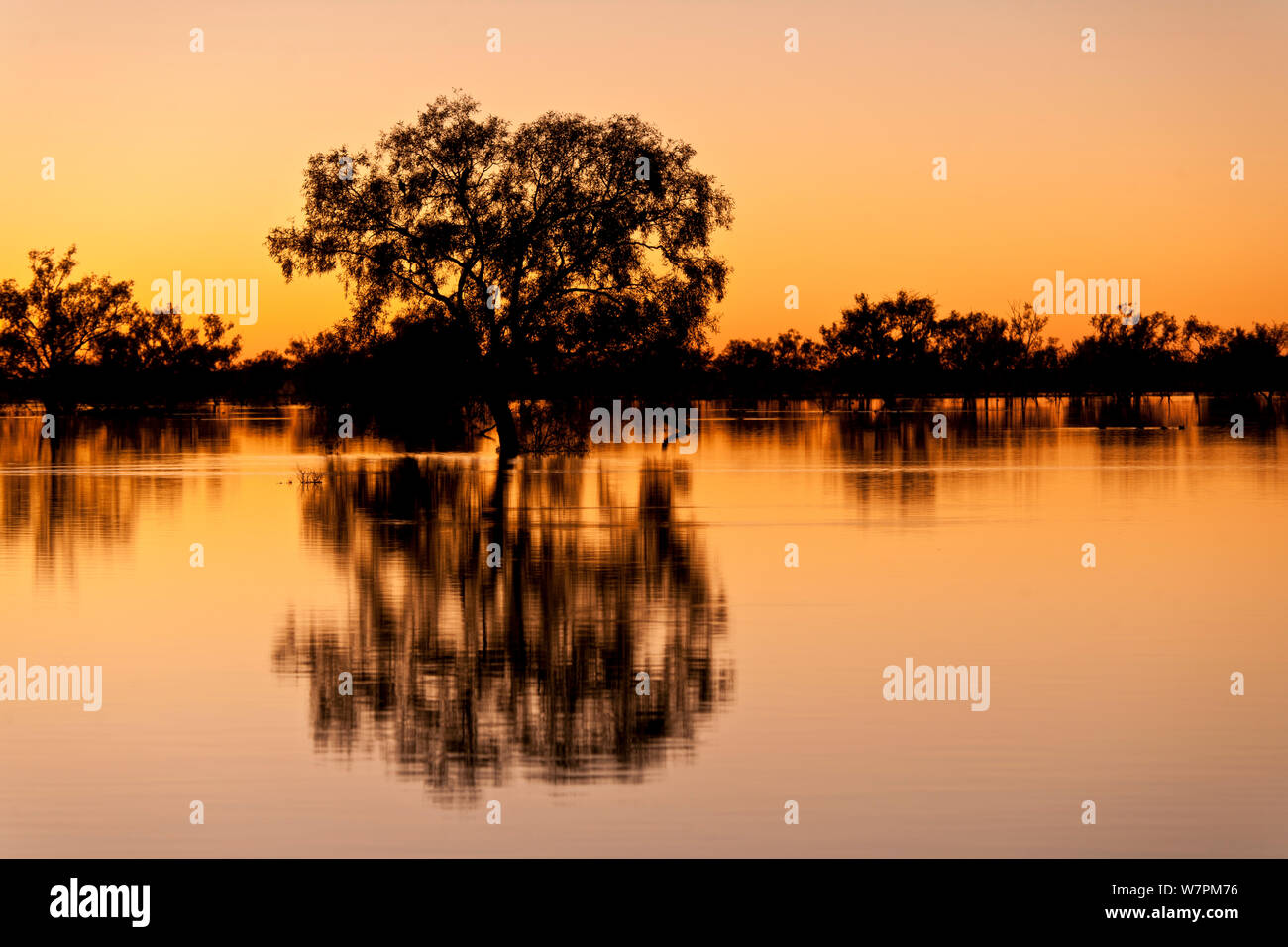 Cooper creek australia hi-res stock photography and images - Alamy