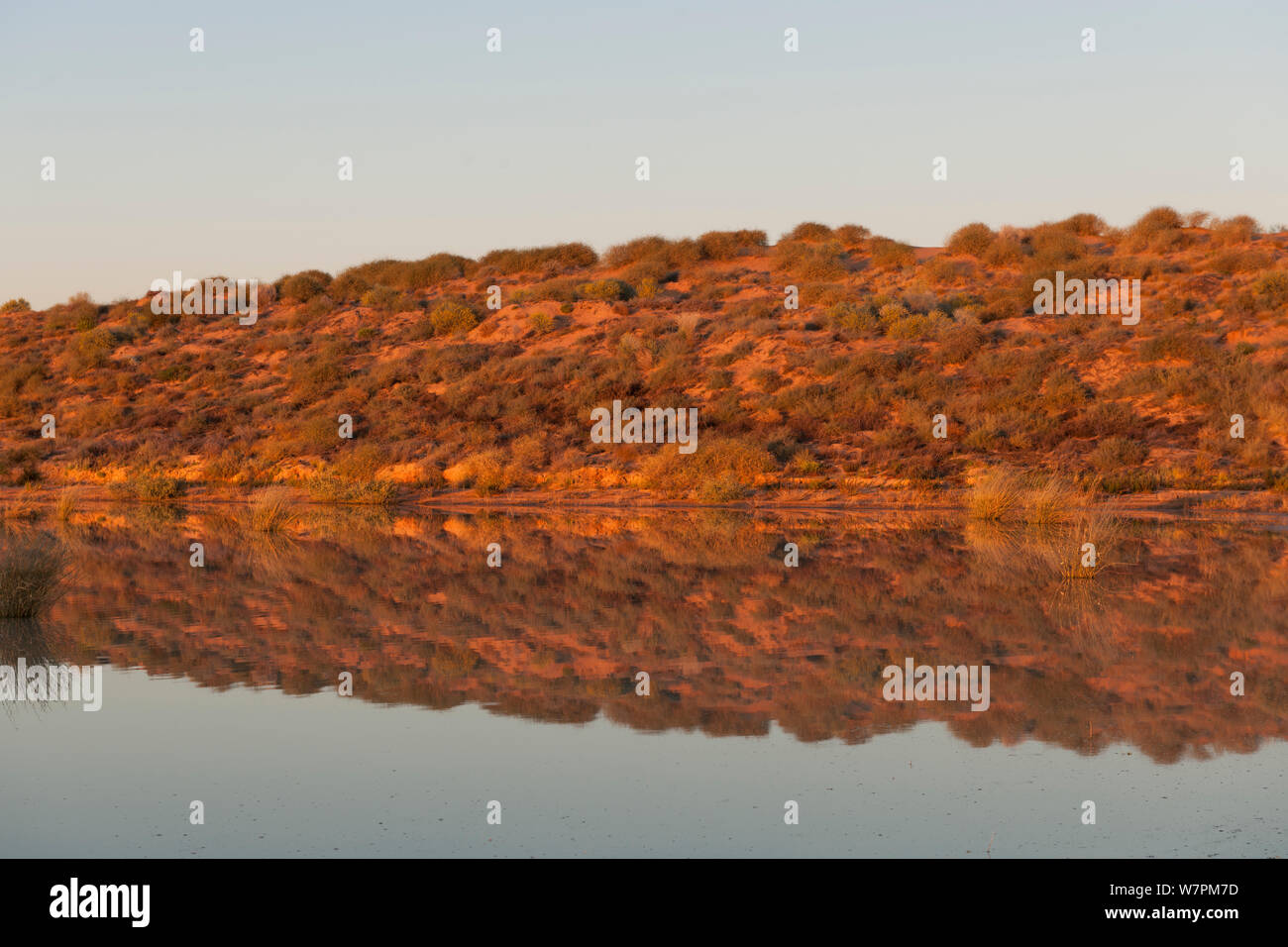 Simpson desert south australia hi-res stock photography and images - Alamy