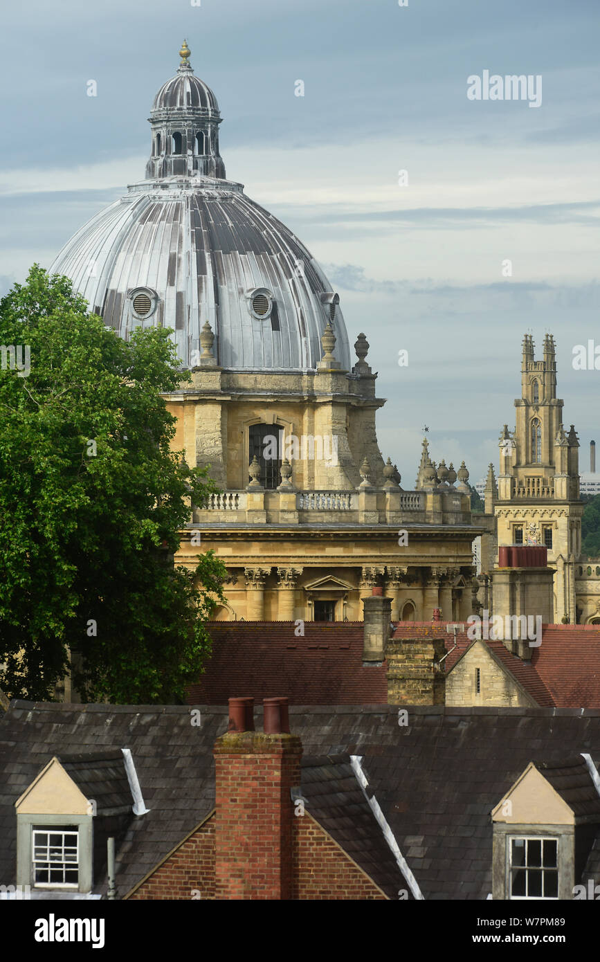 England, Oxford, Bodleian Library, Radcliffe Camera rotunda and rooftop ...