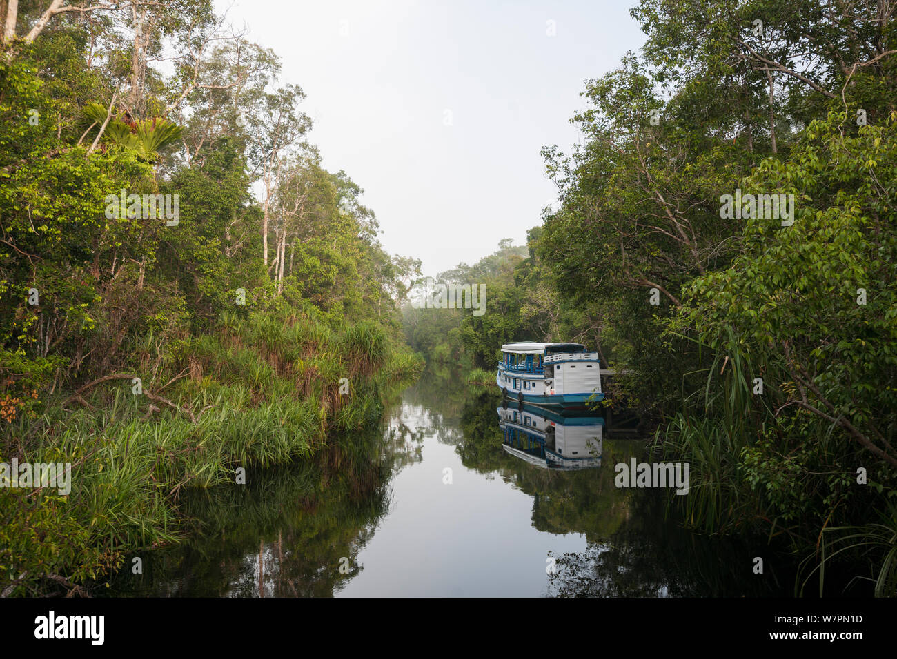 Tourist river boat along black clear tanning peat swamp waters of a ...