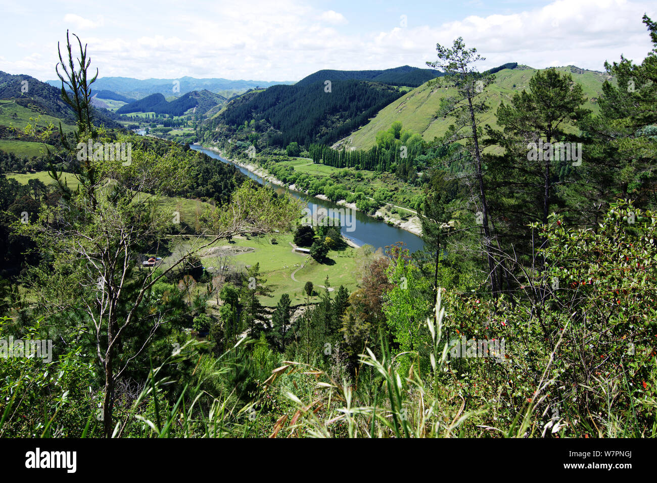 Maori people whanganui river hi-res stock photography and images - Alamy