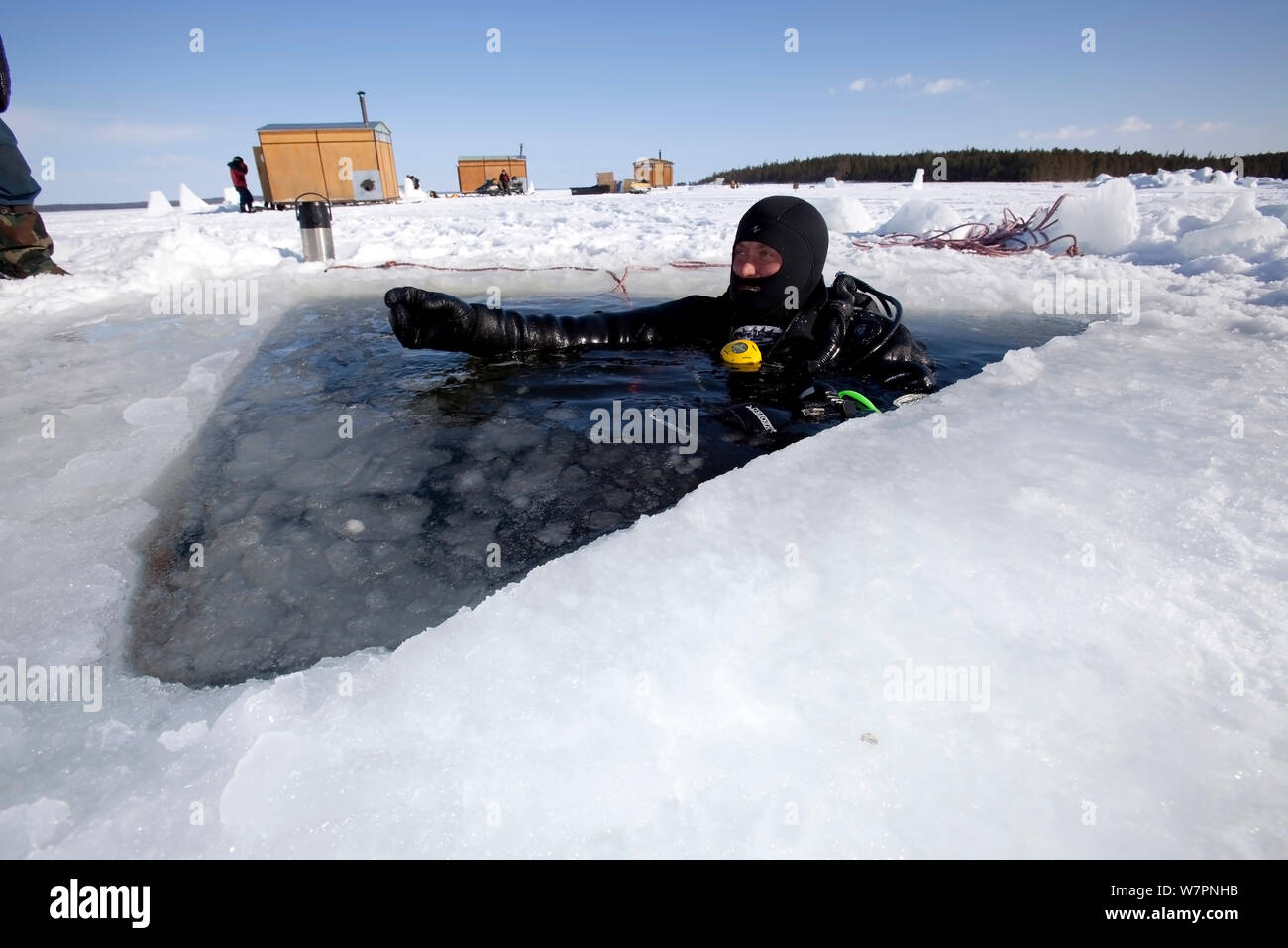 Scuba diver inside the maina (sawed triangular entry hole) ready to go ...