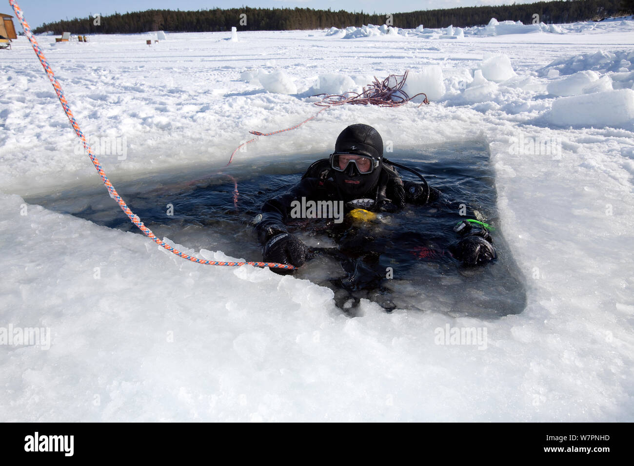 Scuba diver ice hi-res stock photography and images - Alamy