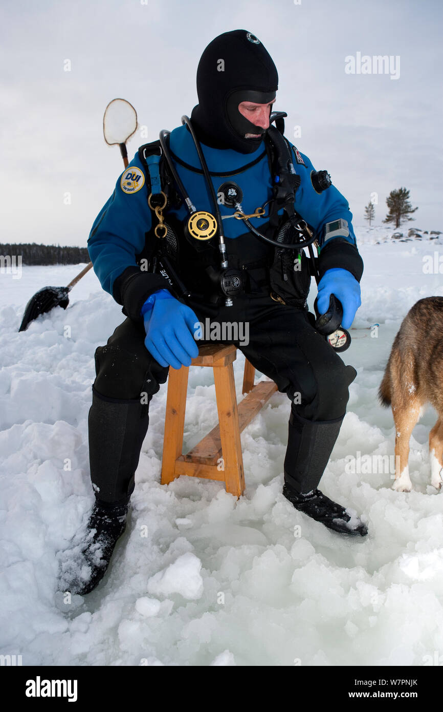 Cold diving hi-res stock photography and images - Alamy