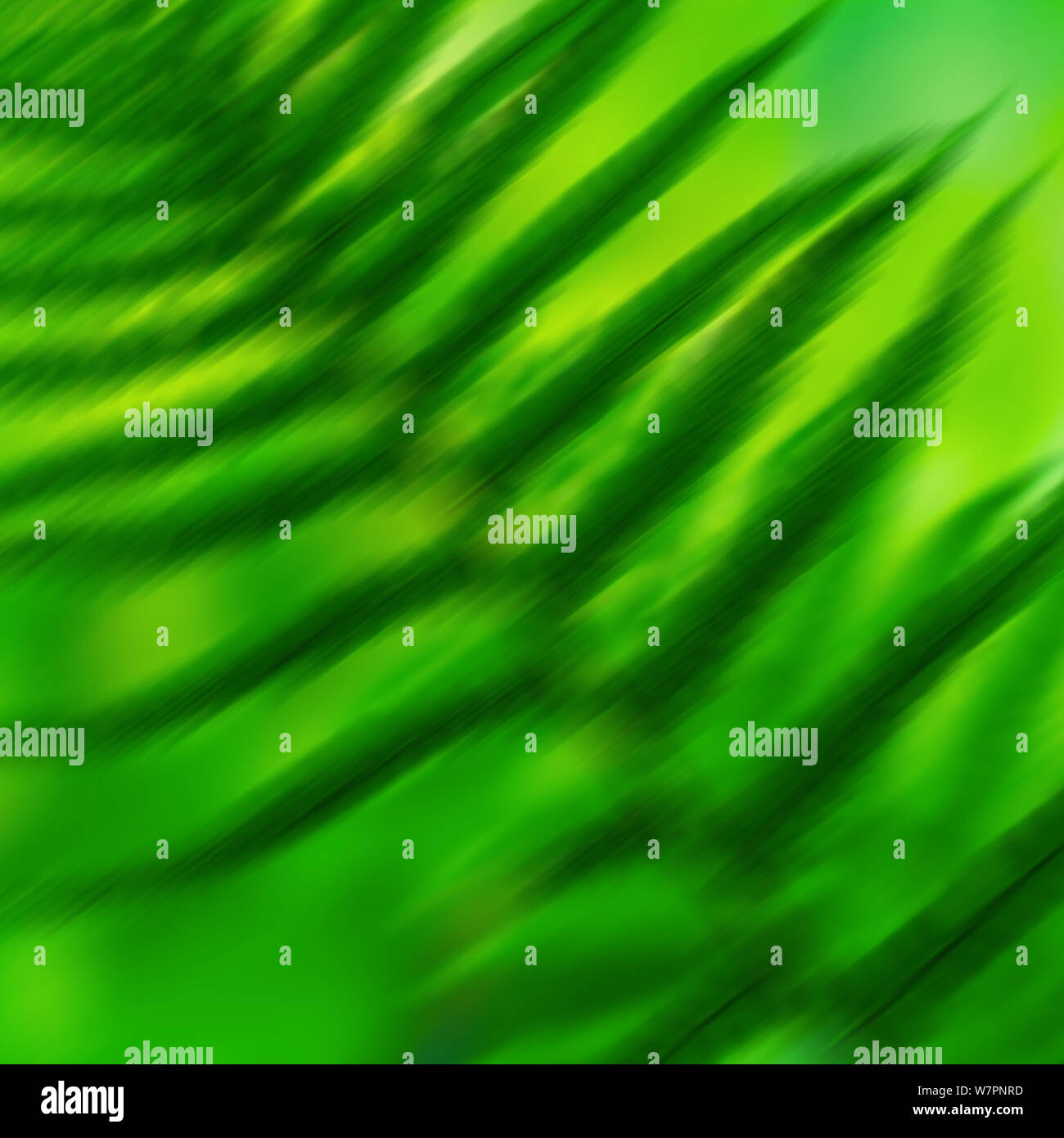 Abstract of green leafs Stock Photo - Alamy