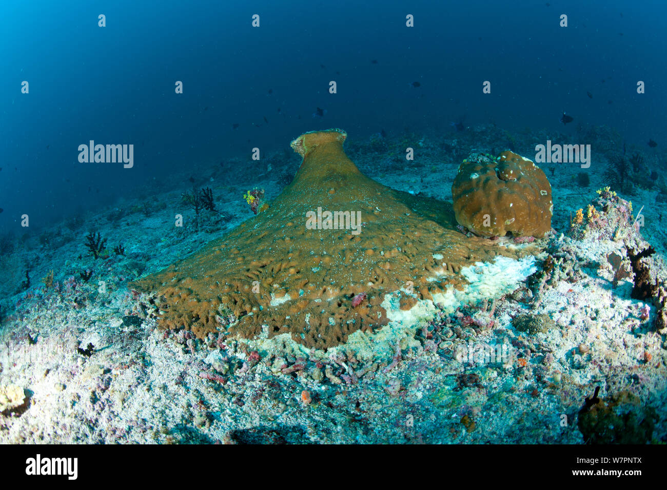 Broken ocean hi-res stock photography and images - Alamy